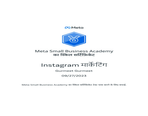 Meta Small Business Academy